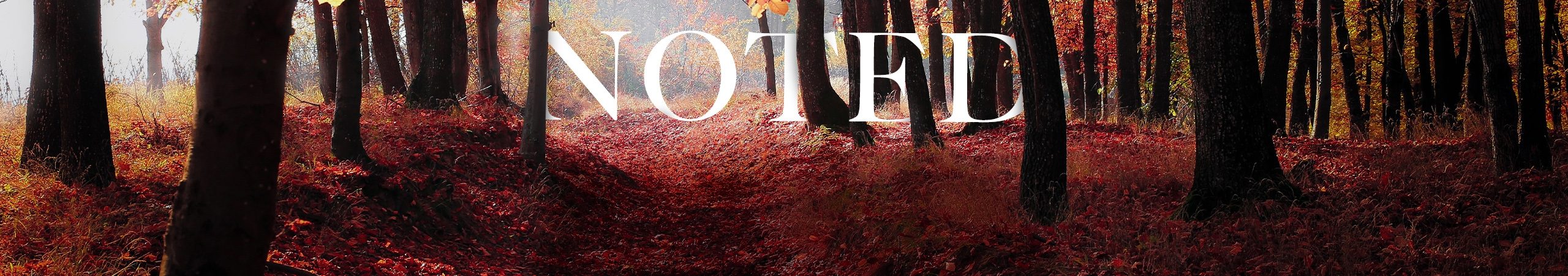 Noted Articles | Quintessentially