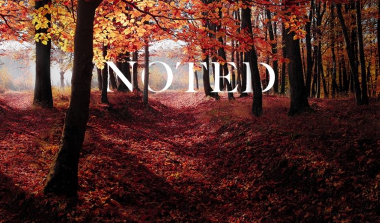 Noted Articles | Quintessentially